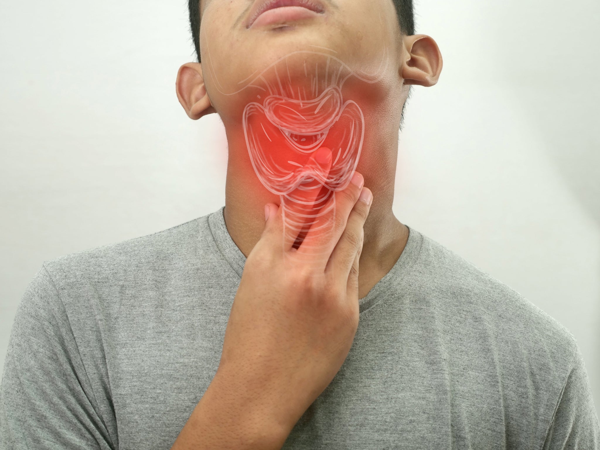 The “Like Supports Like” Concept: How Eating Organs Can Support Our Ow